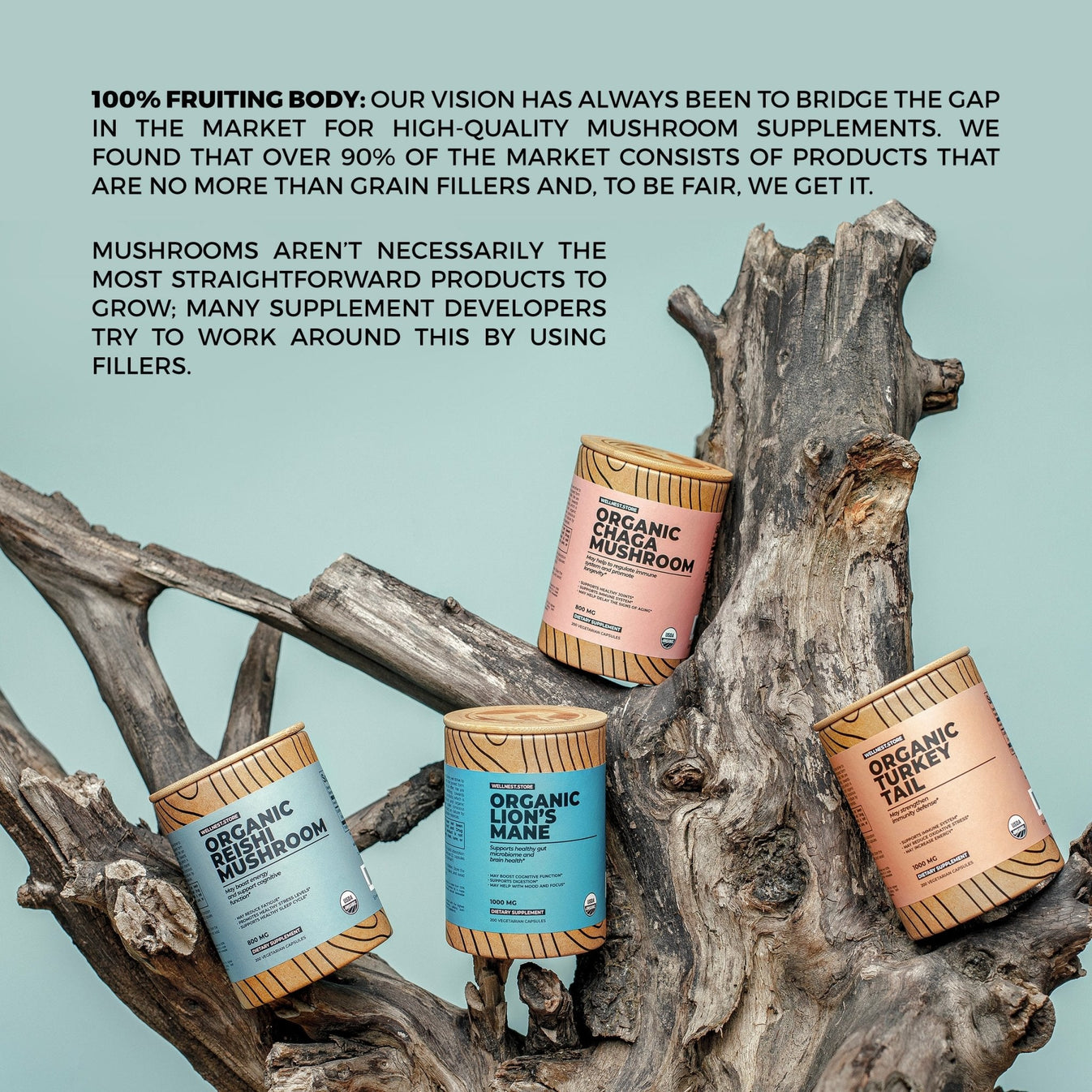 Organic Turkey Tail Mushroom – Natural Shilajit